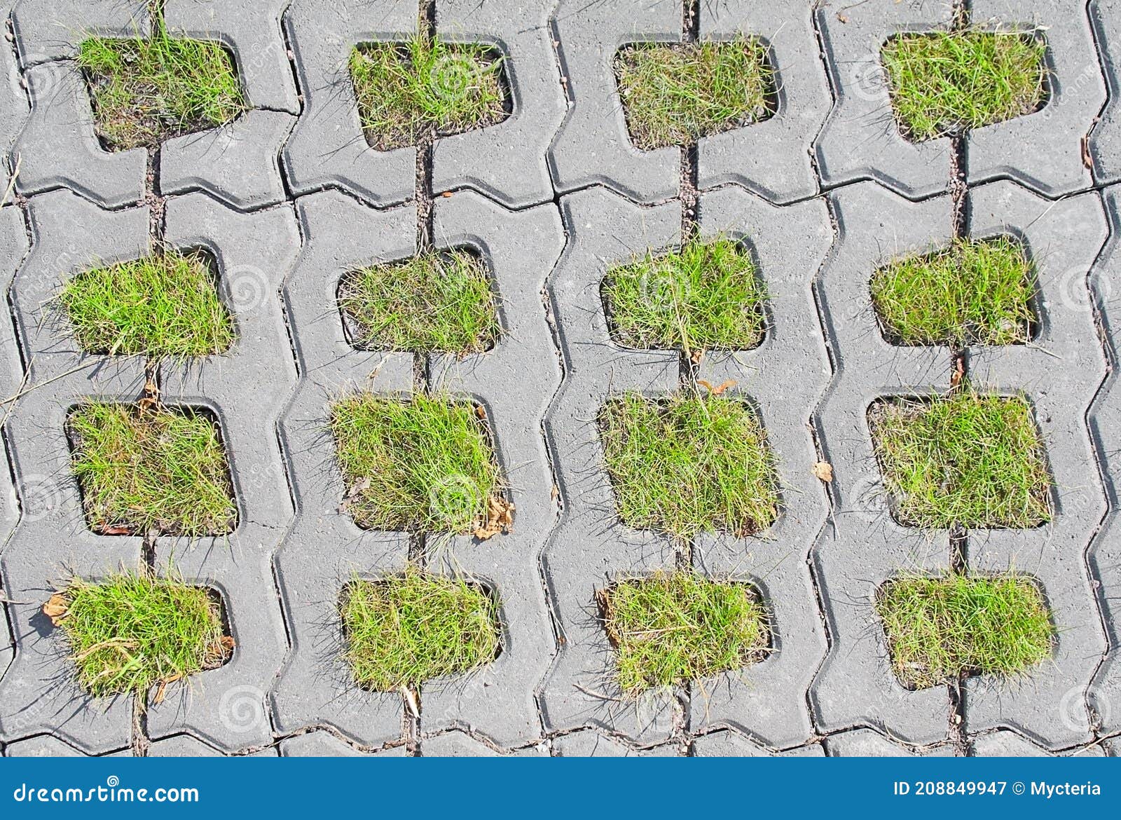Permeable Pavers Stock Image | CartoonDealer.com #23352175