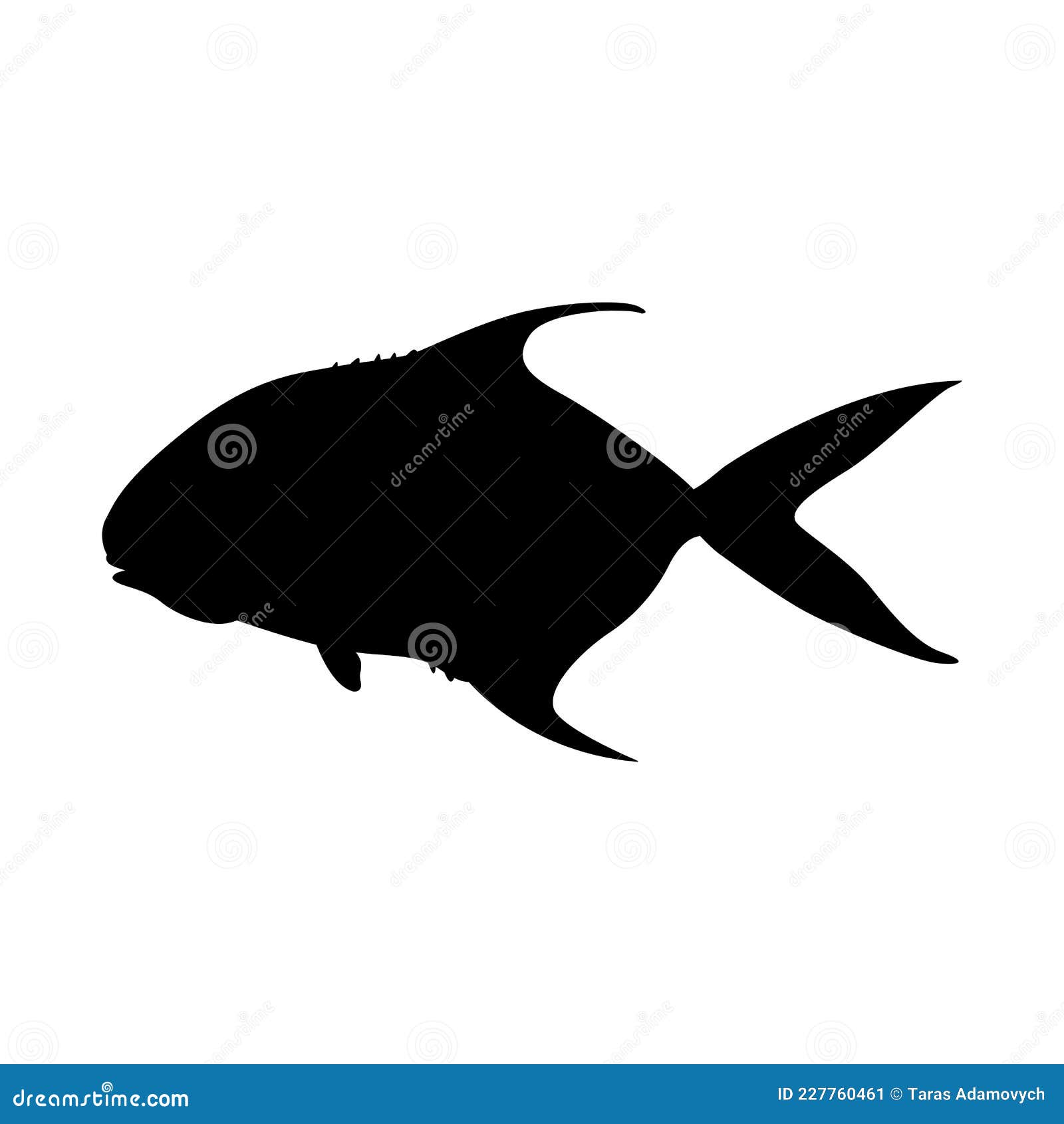 Permit Fish , Vector Illustration, Black Silhouette, Side Stock Vector ...