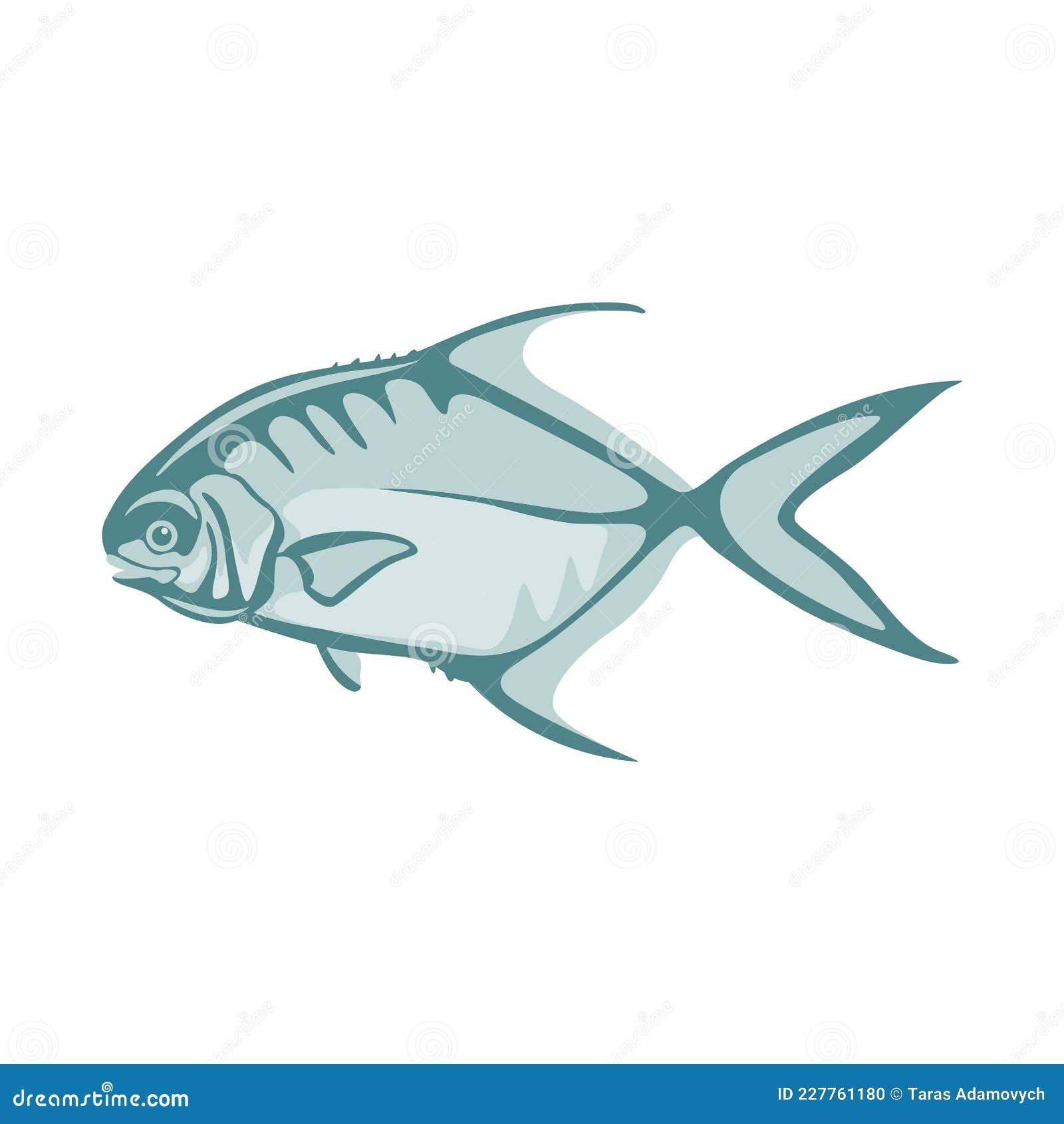 Permit Fish , Vector Illustration, Flat Style, Side View, Lining Stock ...