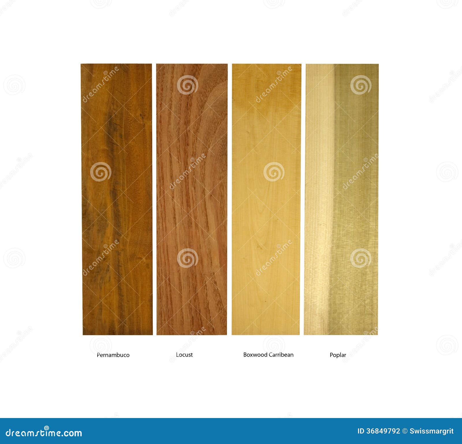 Pernambuco,Locust,Boxwood and Poplar Wood Samples Stock Photo - Image ...