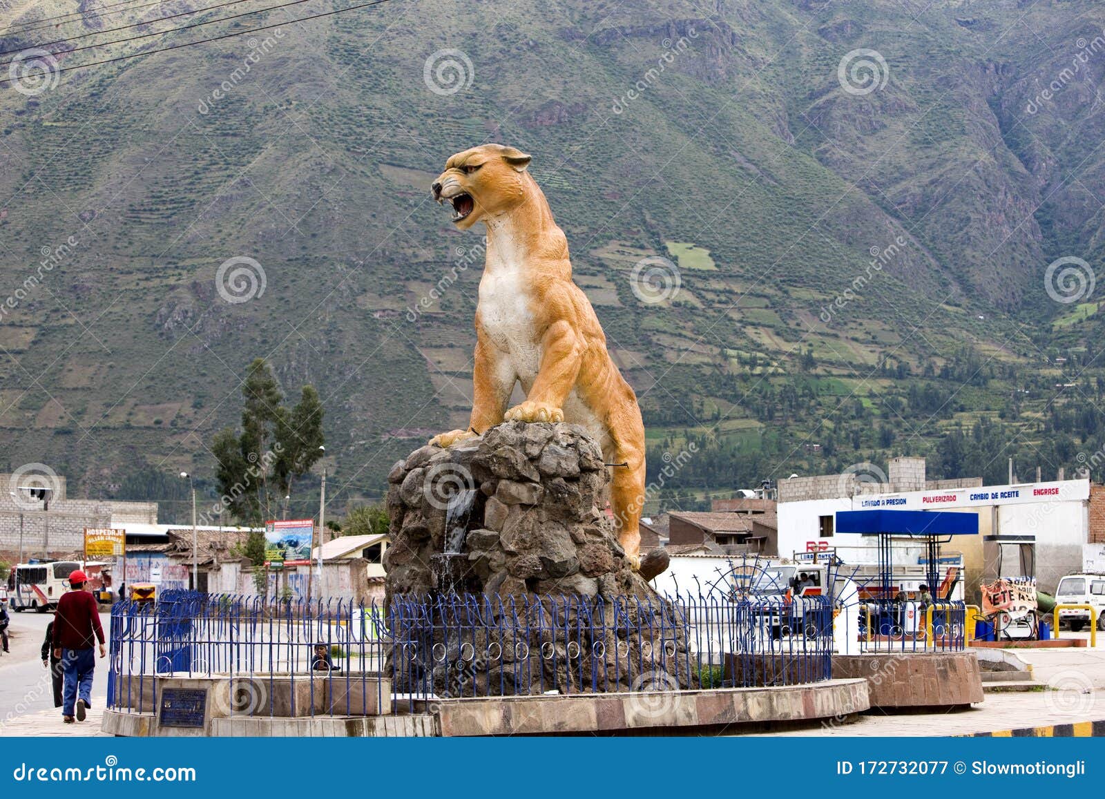 PEROU redaktionelles stockfotografie. Bild von katze - 172732077