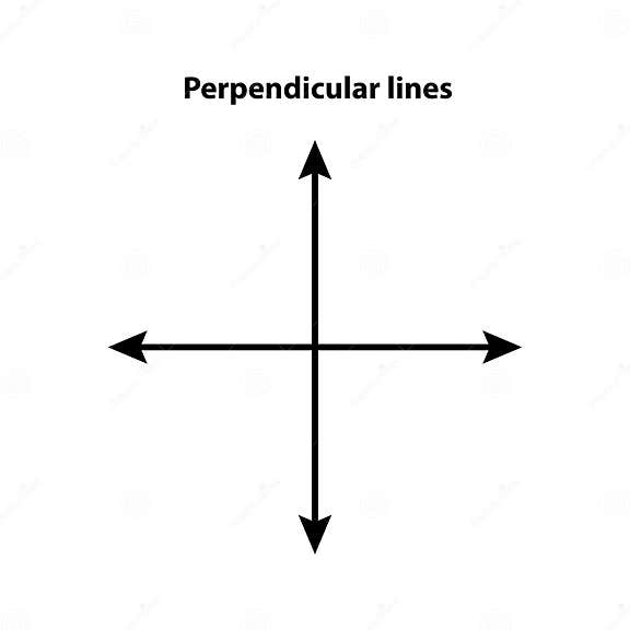 Perpendicular Lines. Vector Line. on White Background Stock Vector ...