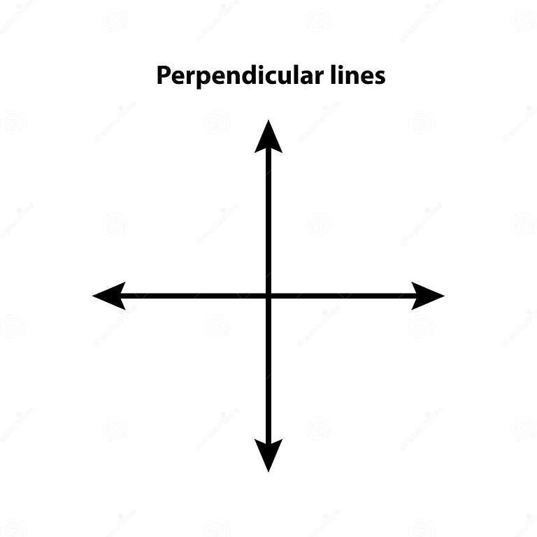 Perpendicular Lines. Vector Line. on White Background Stock Vector ...