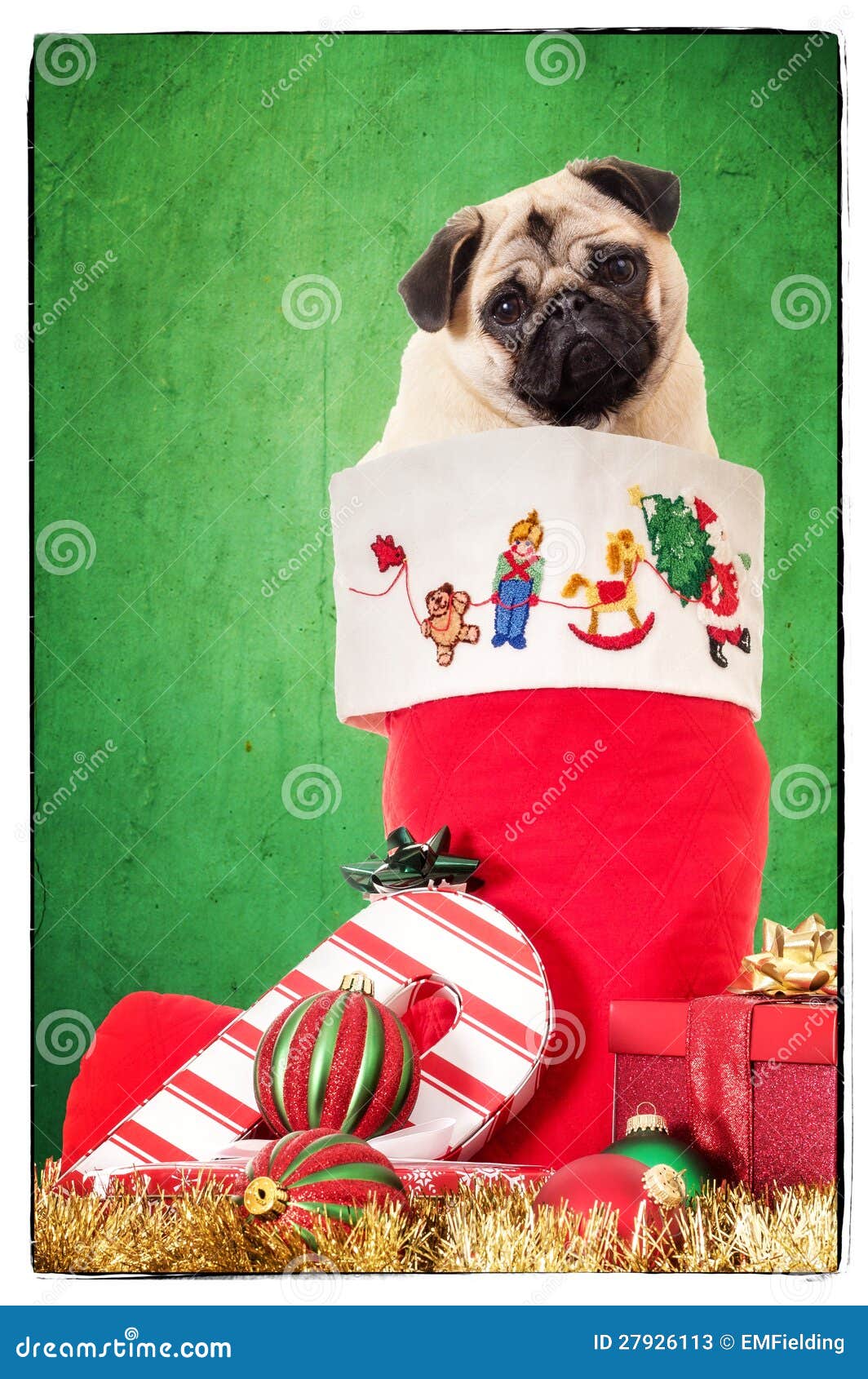 Perrito En La Media De La Navidad Imagen de archivo - Imagen de media ...