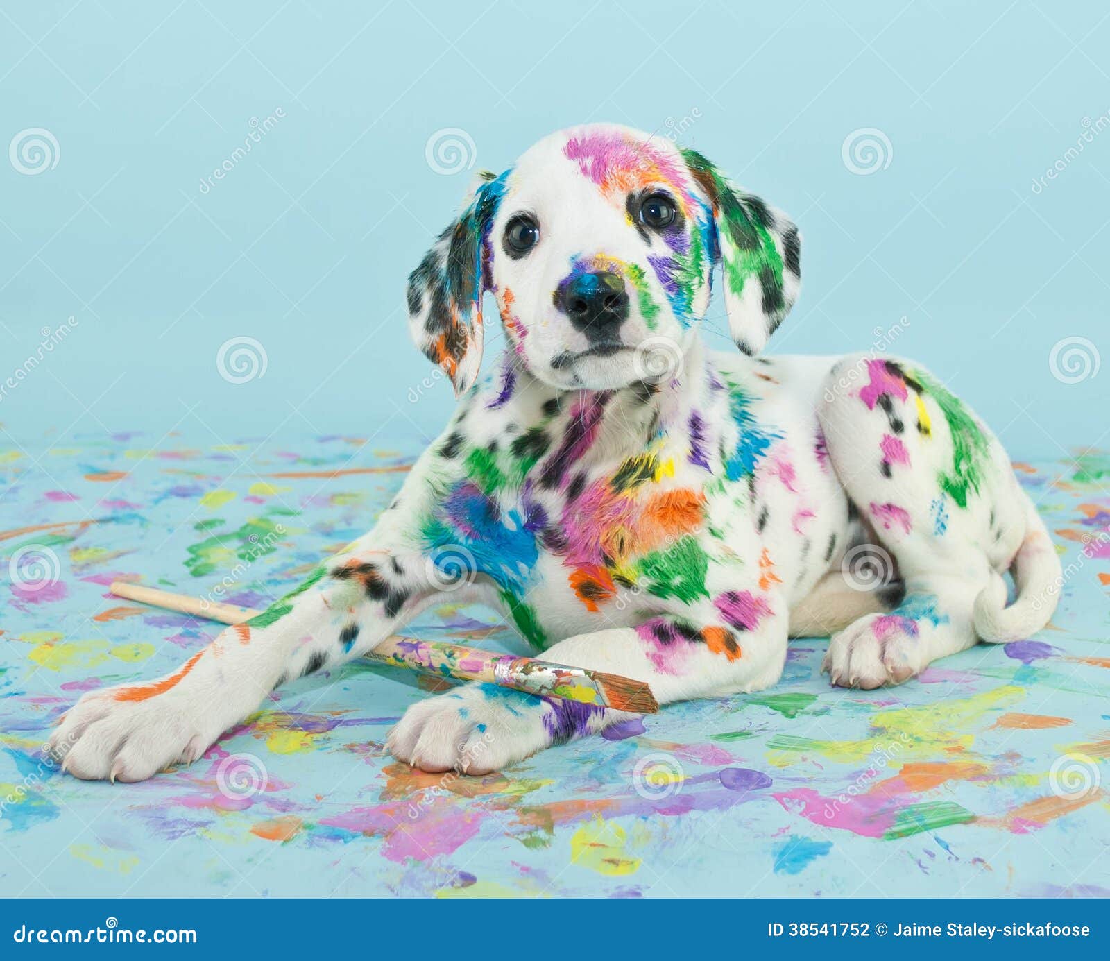 Perrito pintado foto de archivo. Imagen de arte, perrito - 38541752
