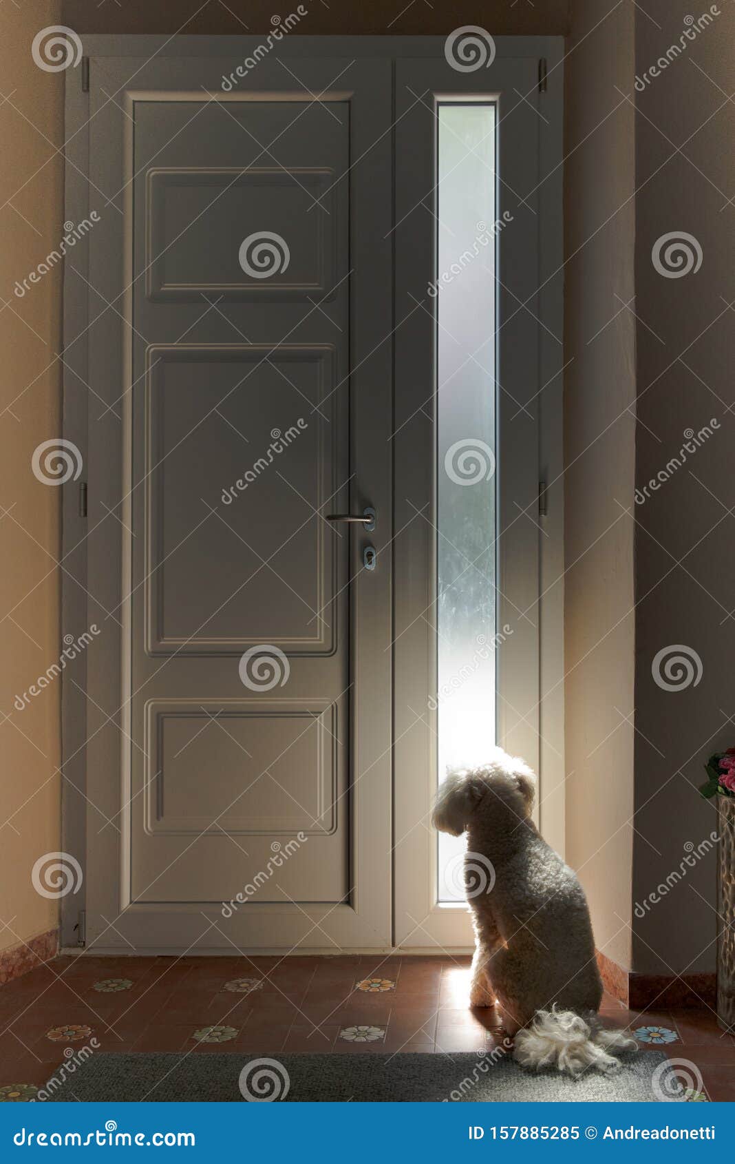 Perro Blanco Sentado Esperando En La Puerta Imagen de archivo - Imagen ...