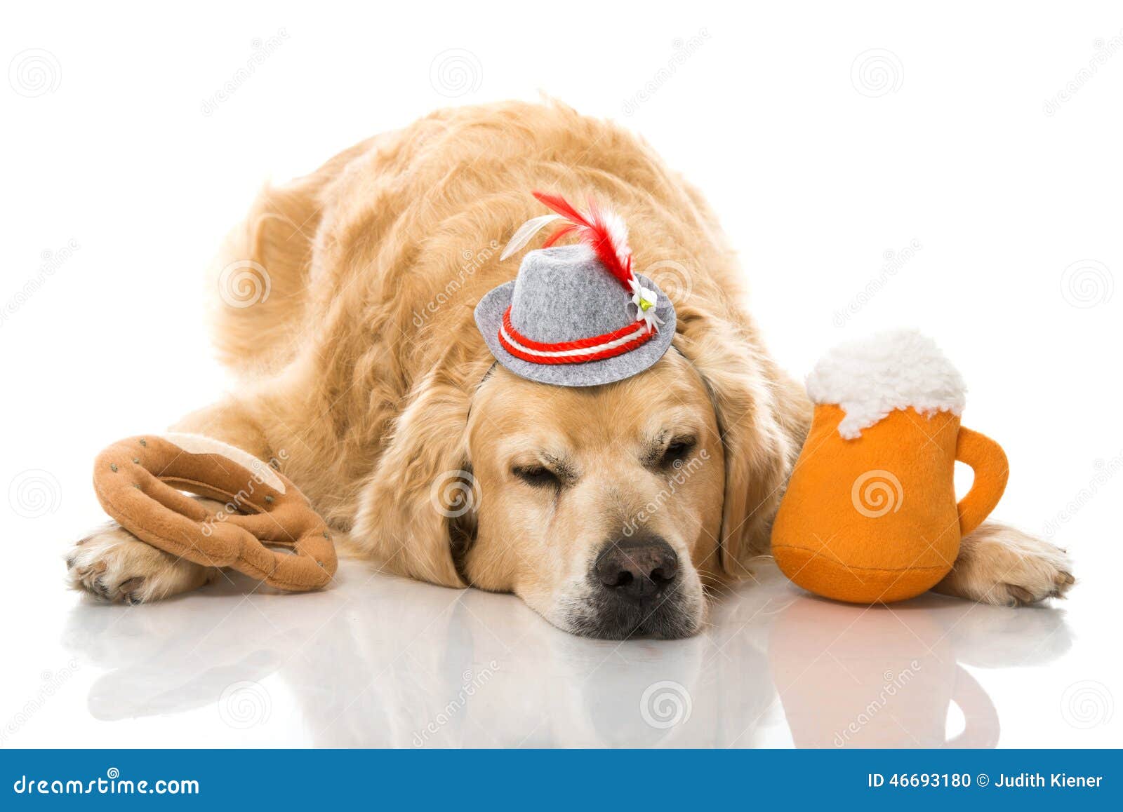 Perro borracho foto de archivo. Imagen de animal, taza - 46693180