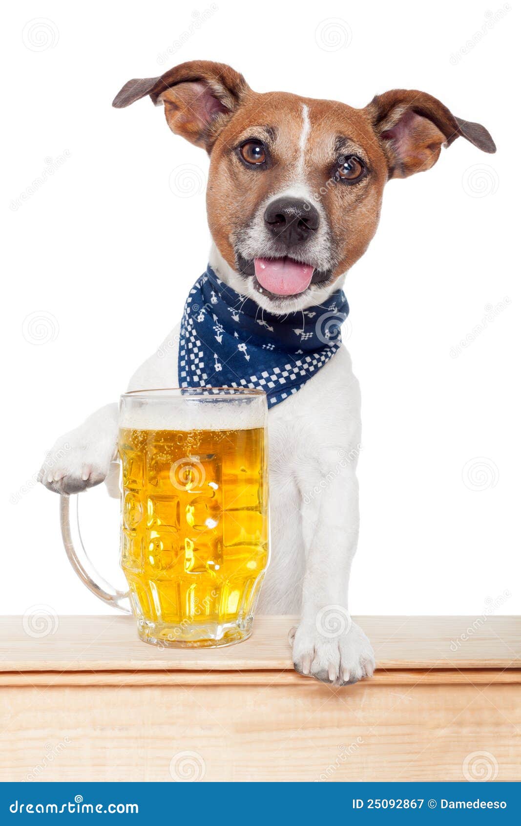 Perro Borracho Con La Cerveza Imagen de archivo - Imagen de baviera ...