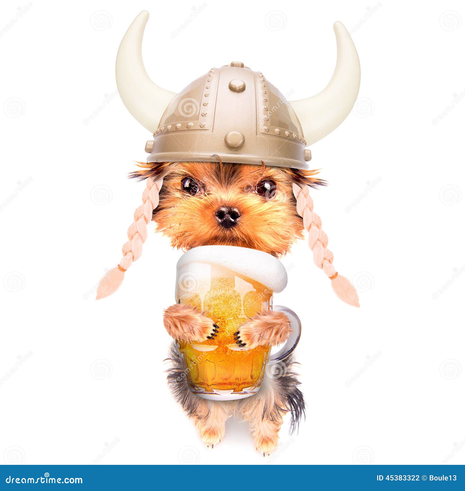 Perro Borracho Con La Cerveza Foto de archivo - Imagen de alcohol ...