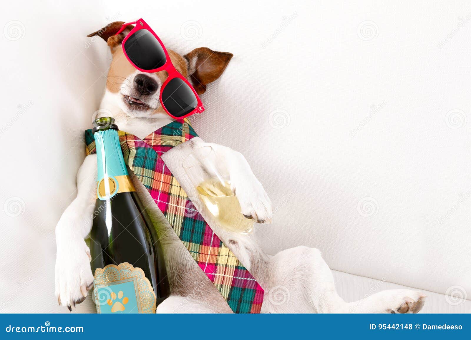 Perro Borracho De La Resaca Foto de archivo - Imagen de botella ...