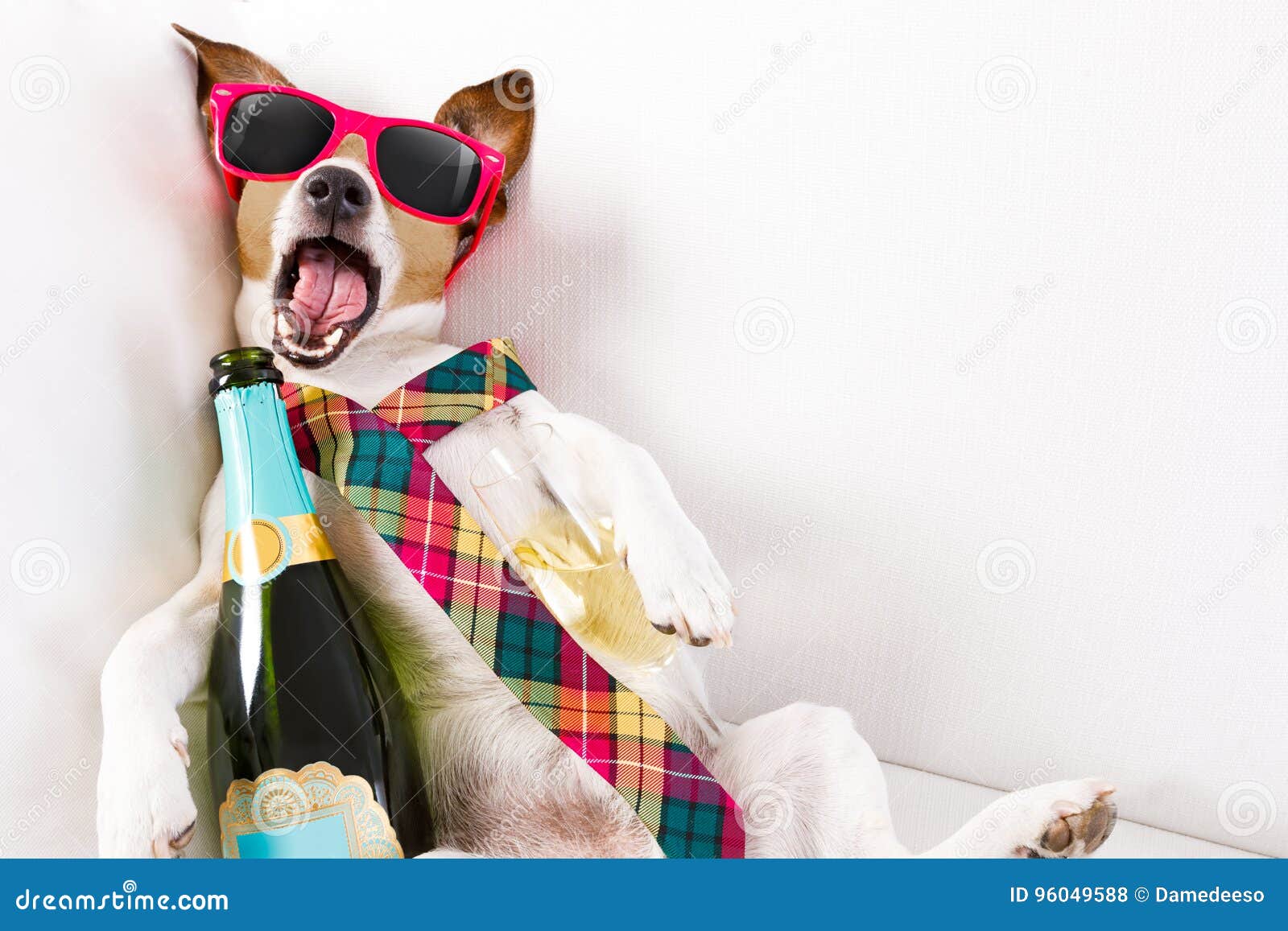 Perro Borracho De La Resaca Foto de archivo - Imagen de resaca, barra ...