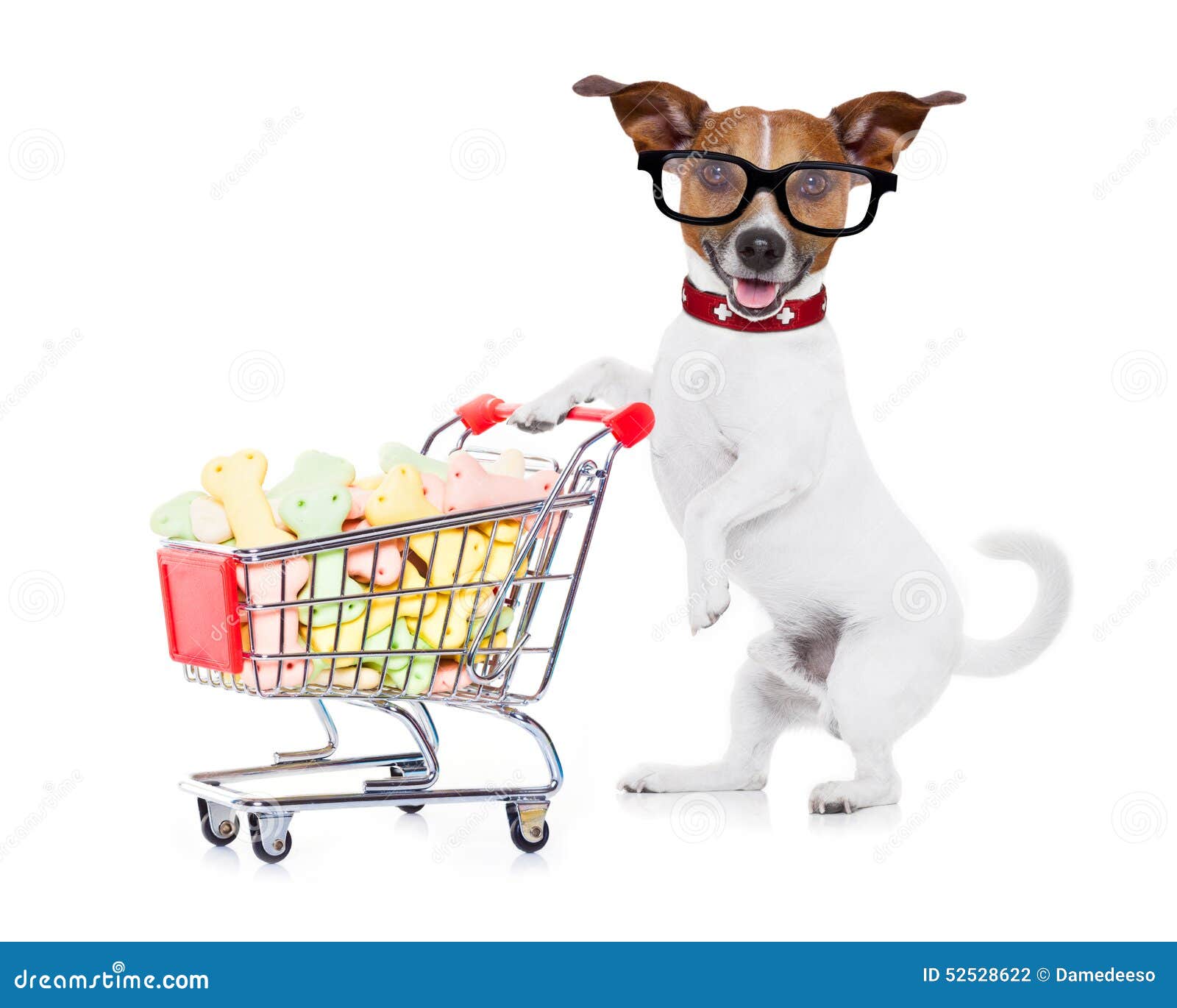 Perro Con El Carro De La Compra Foto de archivo - Imagen de compra ...