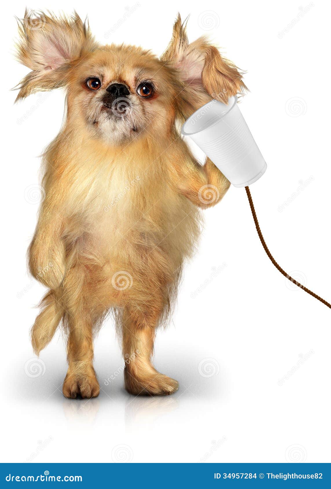 Perro con el teléfono foto de archivo. Imagen de listo - 34957284