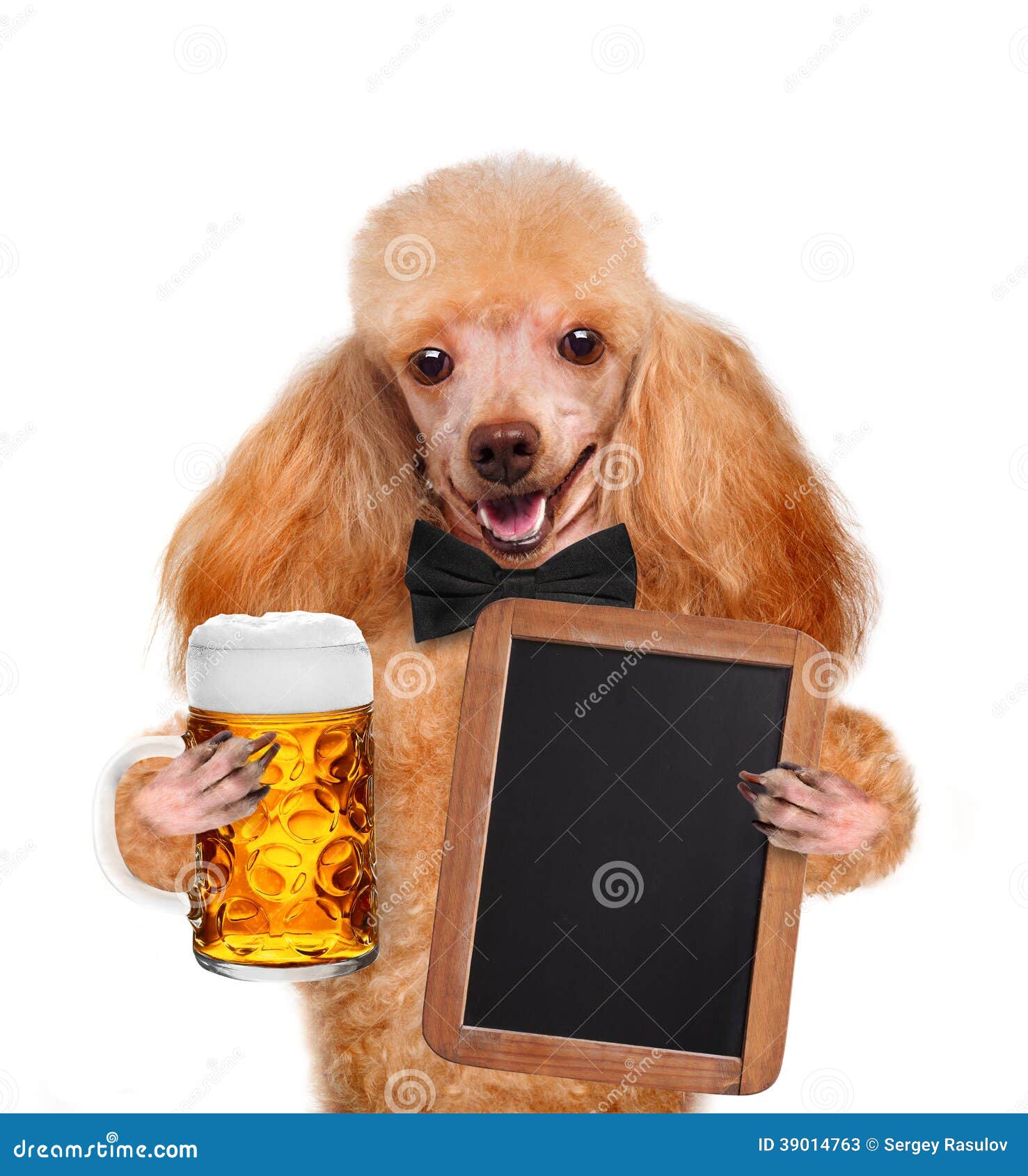 Perro con la cerveza imagen de archivo. Imagen de mascota - 39014763