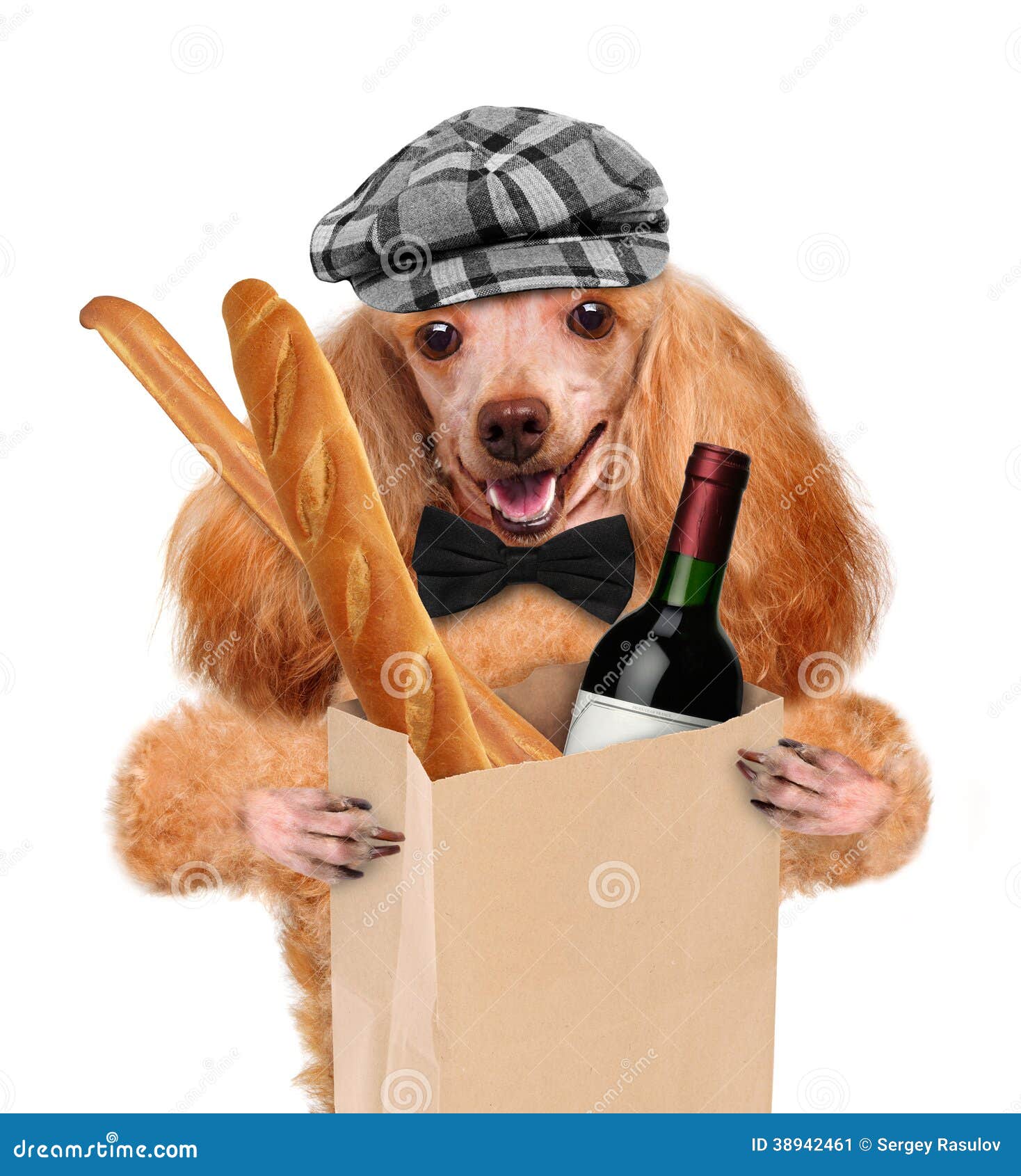 Perro Con Una Botella De Vino Y De Un Baguette Imagen de archivo ...