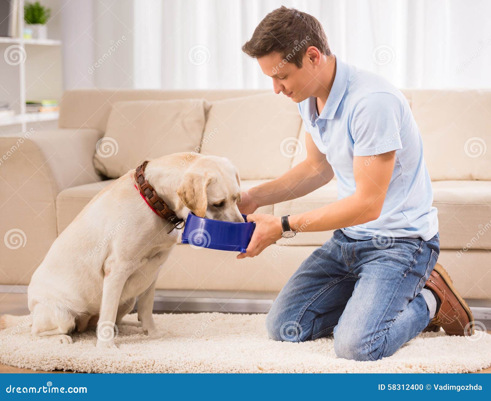 Perro de alimentación foto de archivo. Imagen de adulto - 58312400