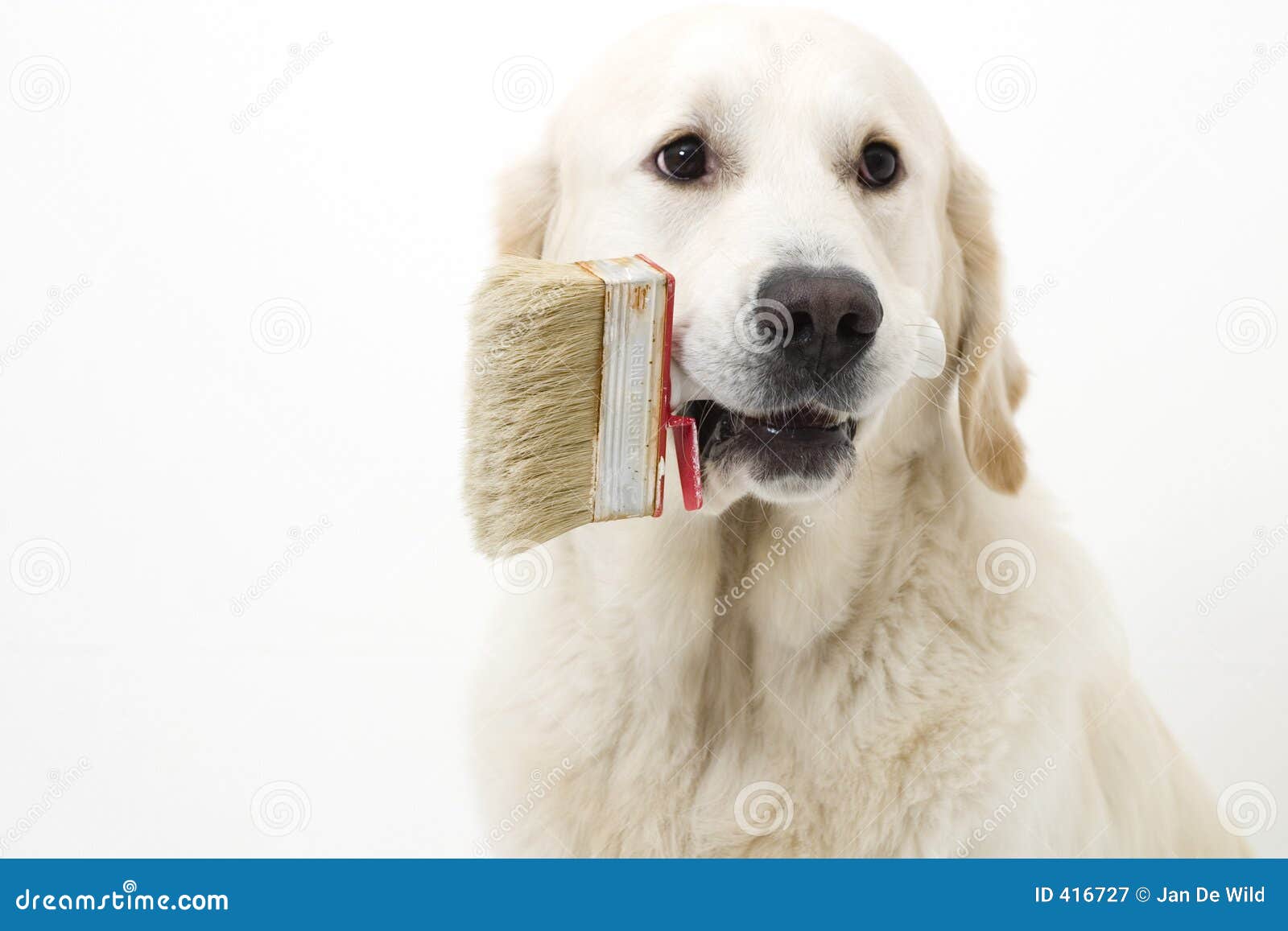 Perro de ayuda imagen de archivo. Imagen de perro, adorable - 416727