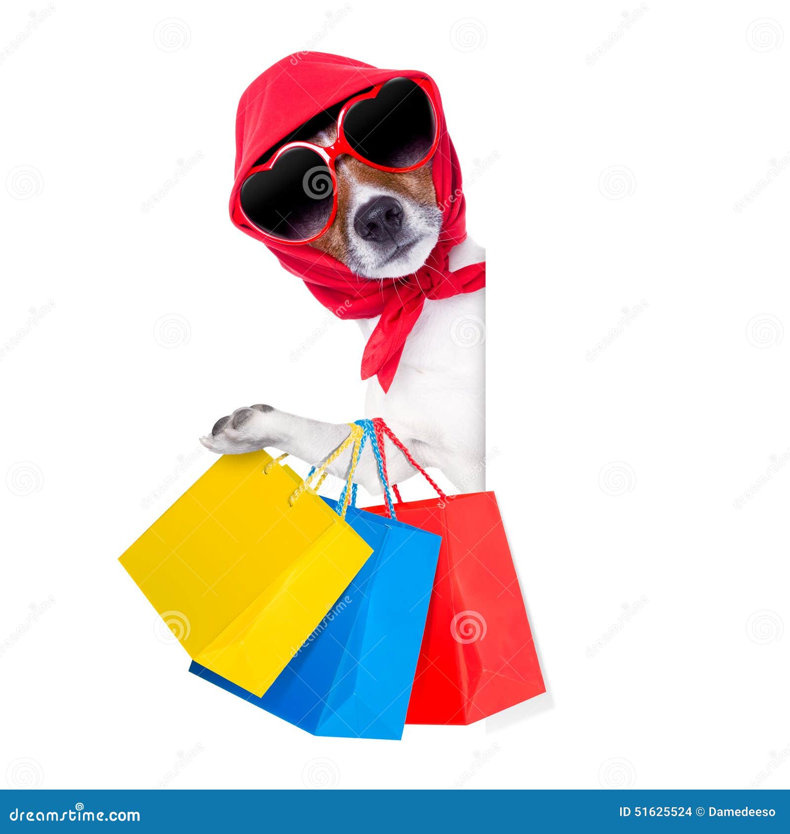 Perro De La Diva De Las Compras Foto de archivo - Imagen de animal ...