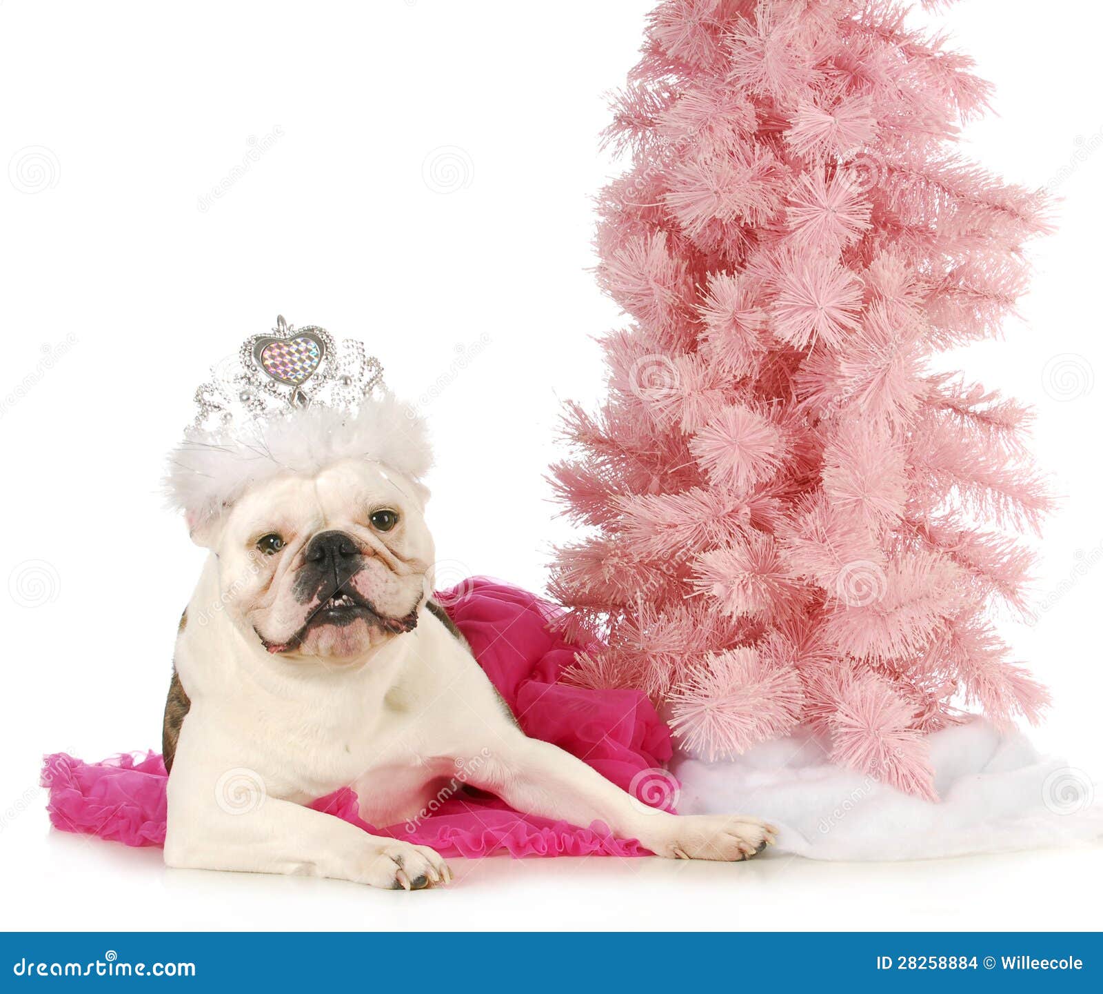 Perro de la princesa foto de archivo. Imagen de casta - 28258884