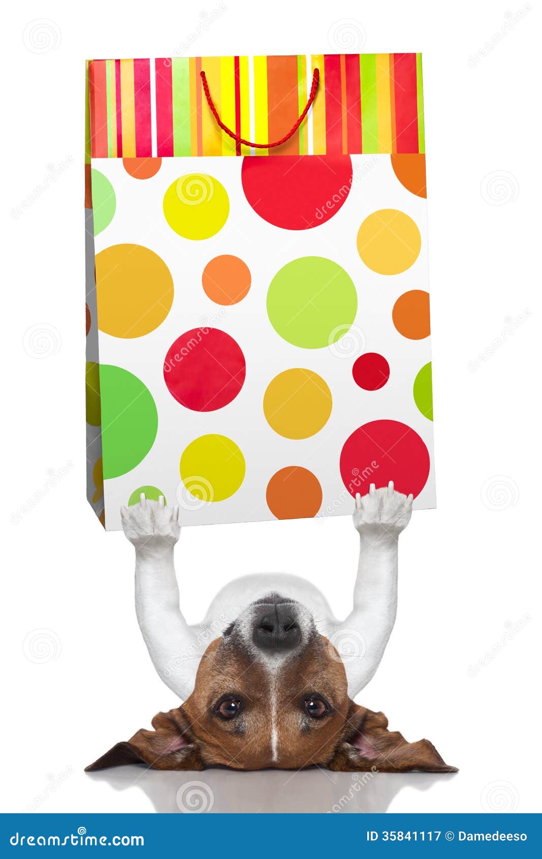 Perro de las compras imagen de archivo. Imagen de aislado - 35841117