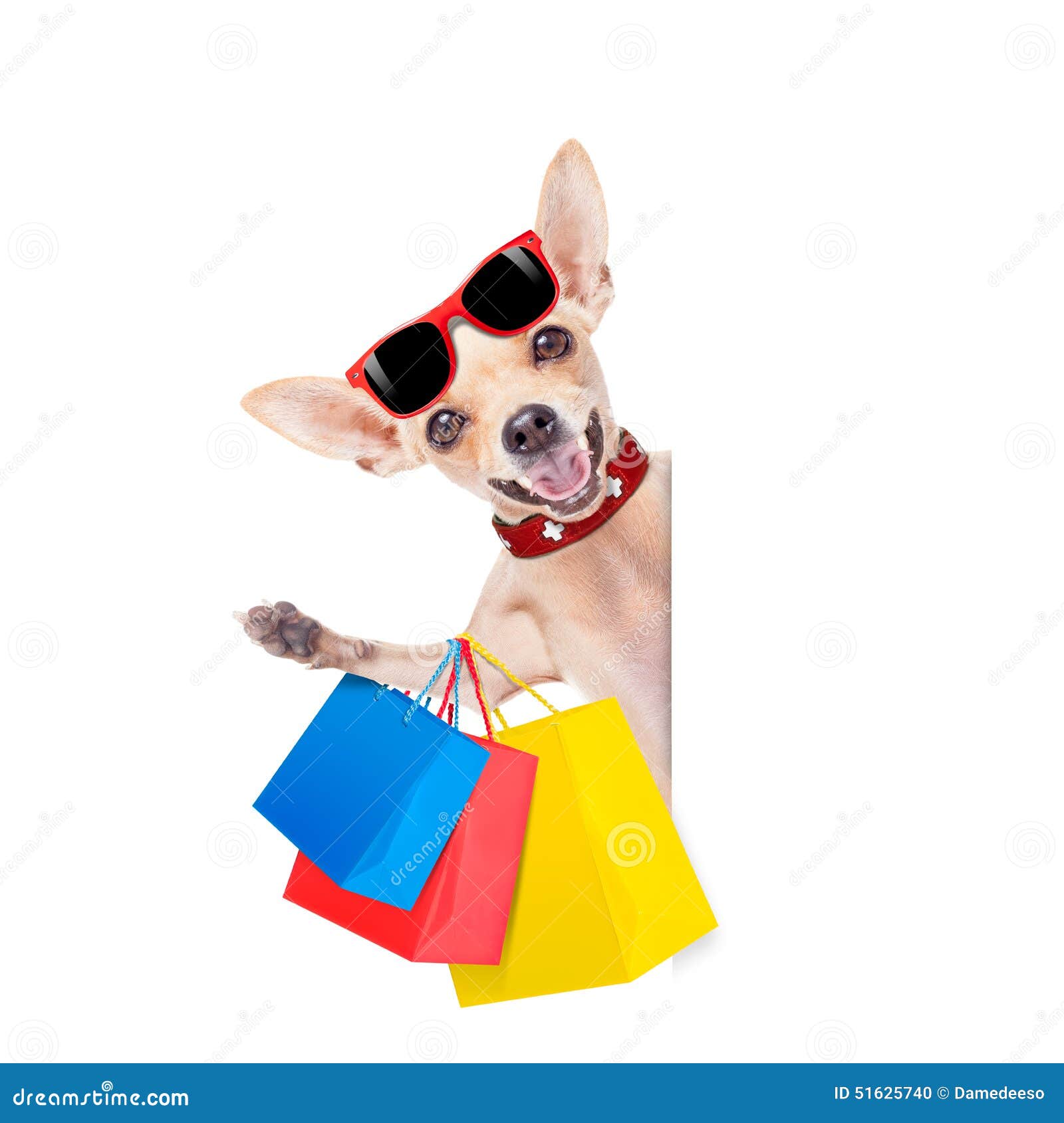 Perro de las compras foto de archivo. Imagen de perezoso - 51625740