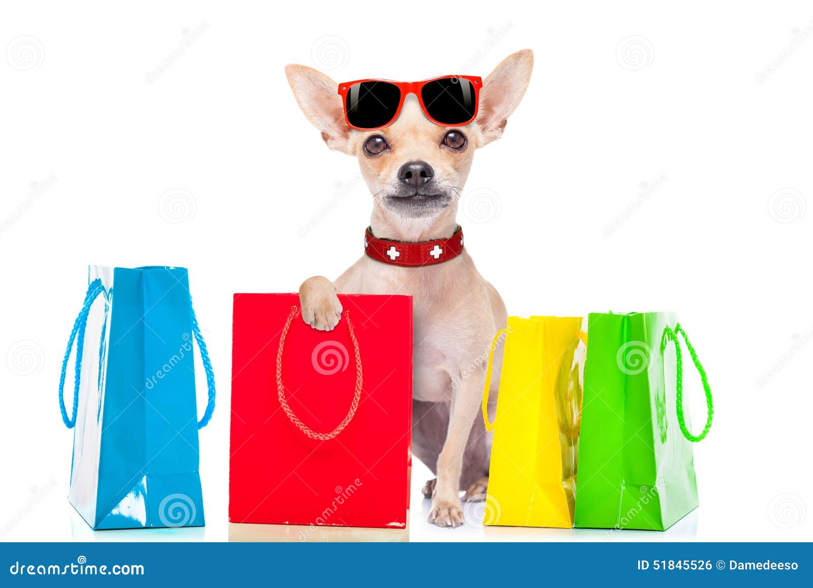 Perro de las compras foto de archivo. Imagen de divertido - 51845526