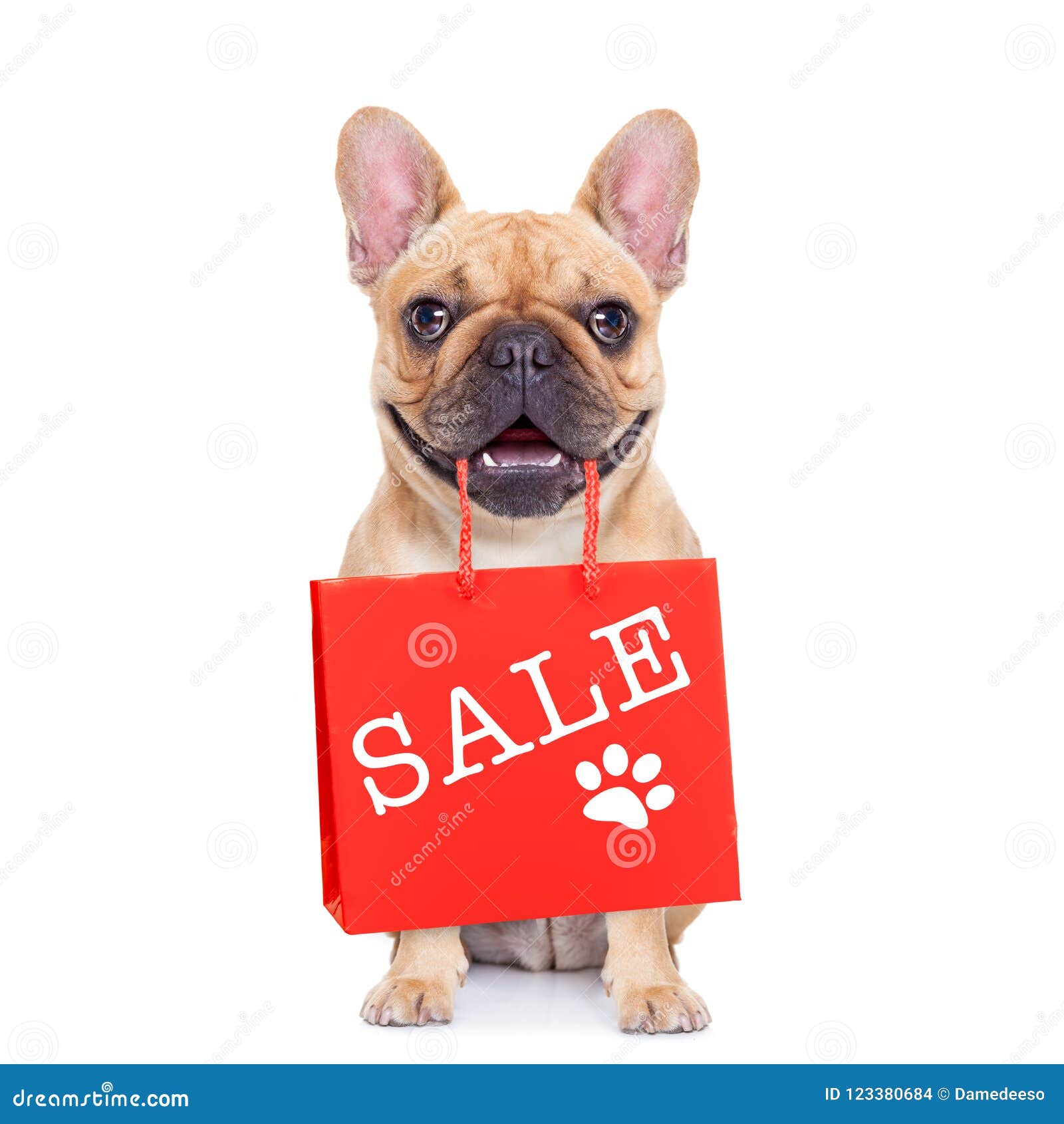 Perro De Las Compras De La Venta Foto de archivo - Imagen de consumidor ...