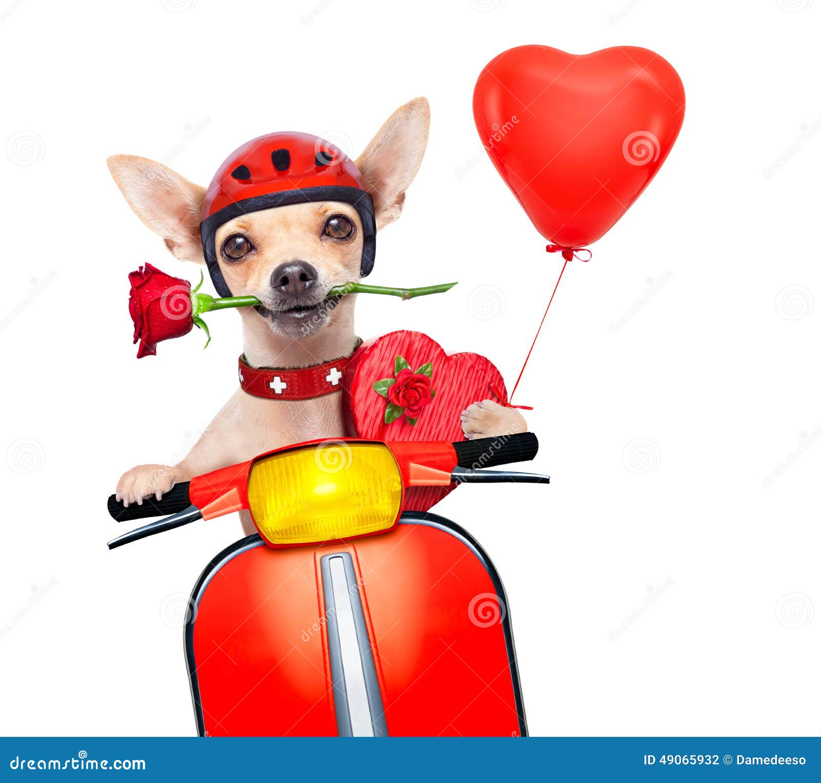 Perro De Las Tarjetas Del Día De San Valentín Foto de archivo - Imagen ...