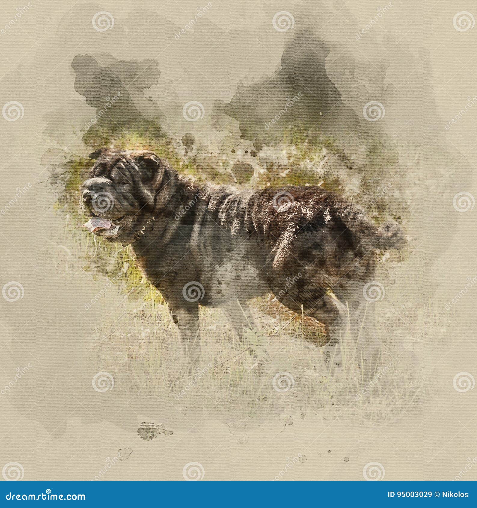 Perro de Sharpei stock de ilustración. Ilustración de adorable - 95003029