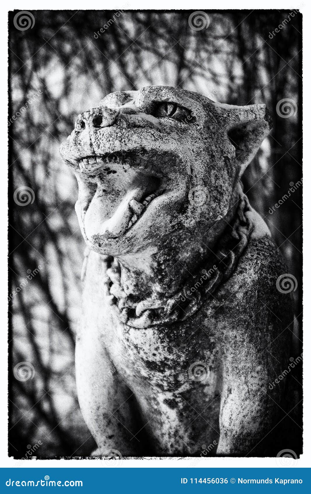 Perro del cemento foto de archivo. Imagen de miedo, fondo - 114456036