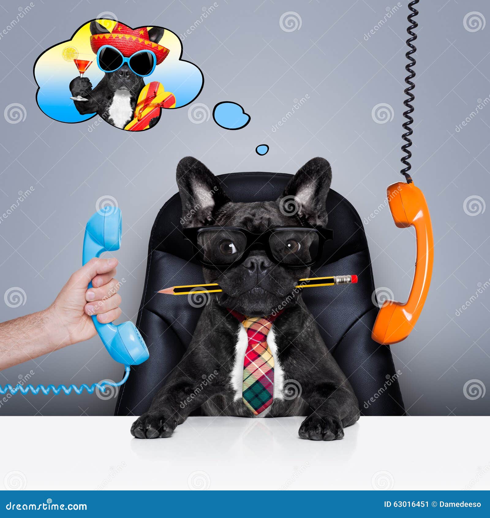 Perro Del Jefe Del Oficinista Imagen de archivo - Imagen de ...