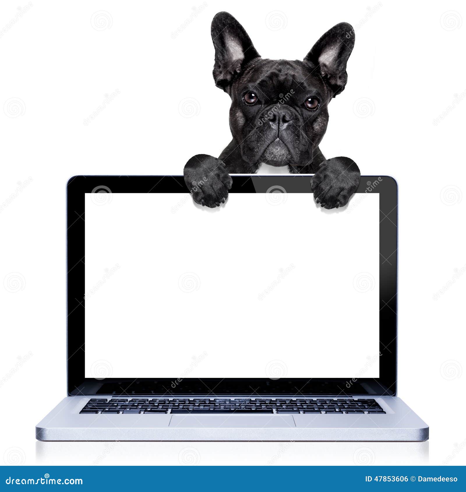 Perro del ordenador foto de archivo. Imagen de copia - 47853606