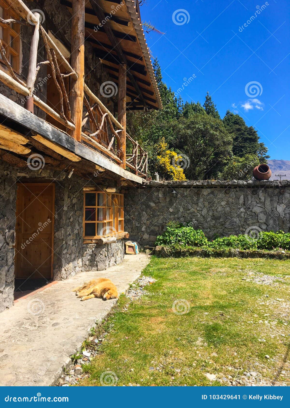 PERRO DORMIDO DELANTE DE CASA Imagen de archivo - Imagen de travieso ...