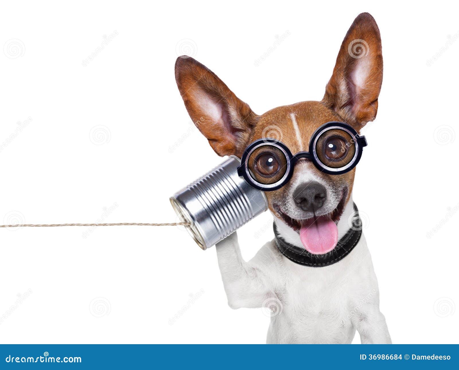 Perro en el teléfono foto de archivo. Imagen de llamada - 36986684