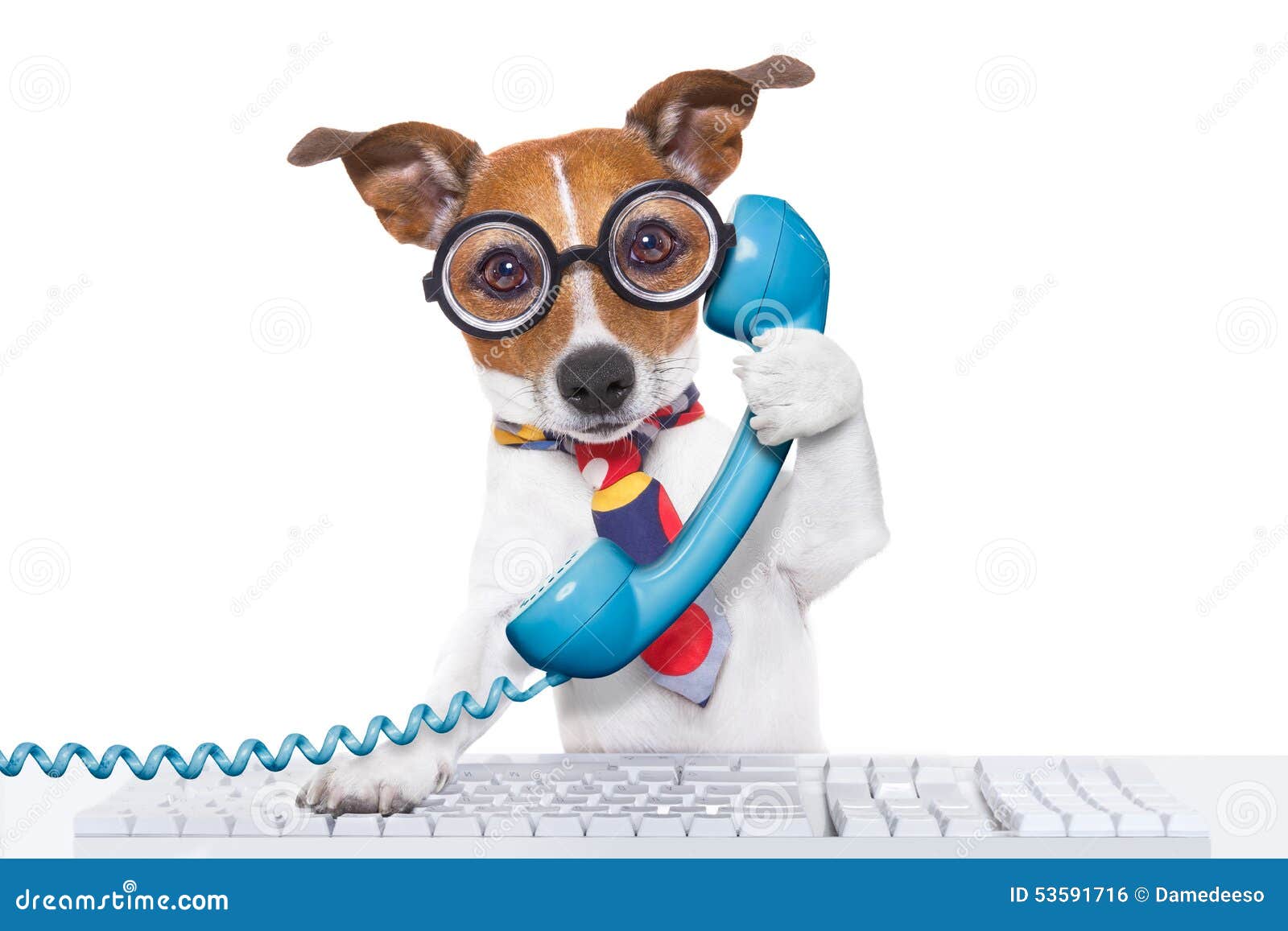 Perro en el teléfono foto de archivo. Imagen de empresario - 53591716