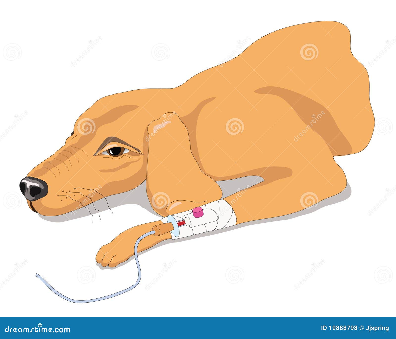 Perro enfermo ilustración del vector. Ilustración de enlace - 19888798