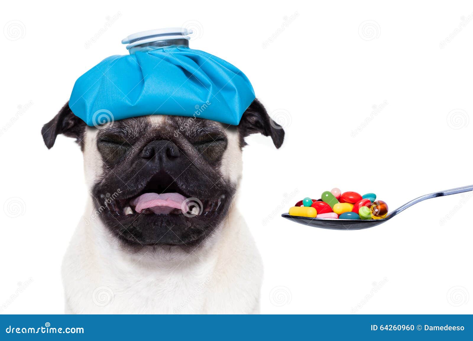 Perro enfermo enfermo foto de archivo. Imagen de enfermedad - 64260960