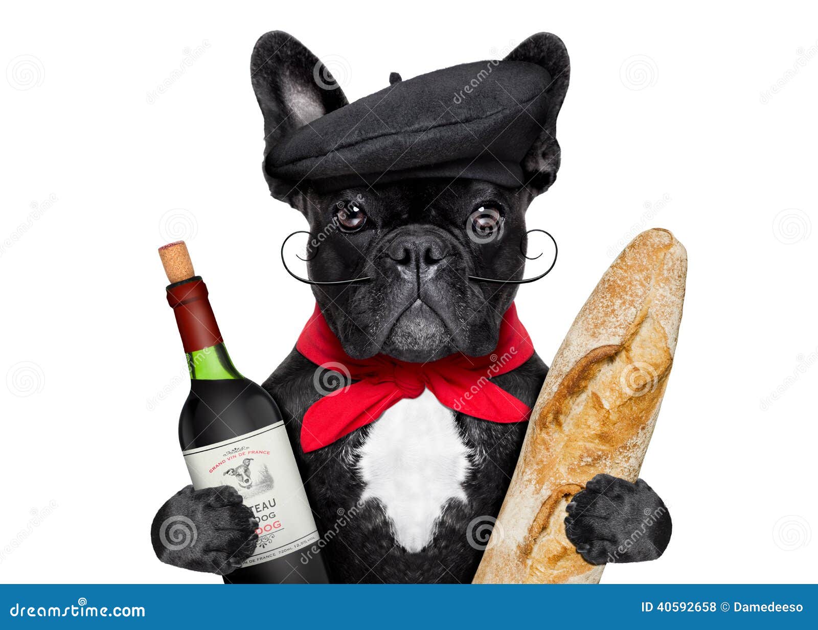 Perro francés foto de archivo. Imagen de bandera, fondo - 40592658