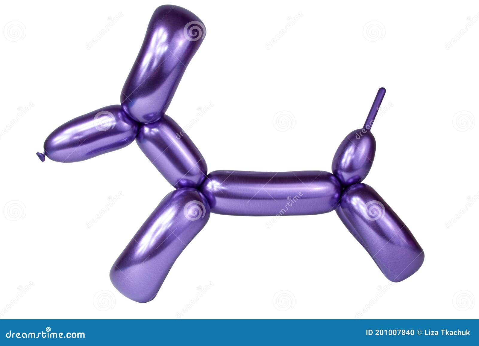 Perro Globo Violeta Y Brillante Aislado En Blanco Foto de archivo ...