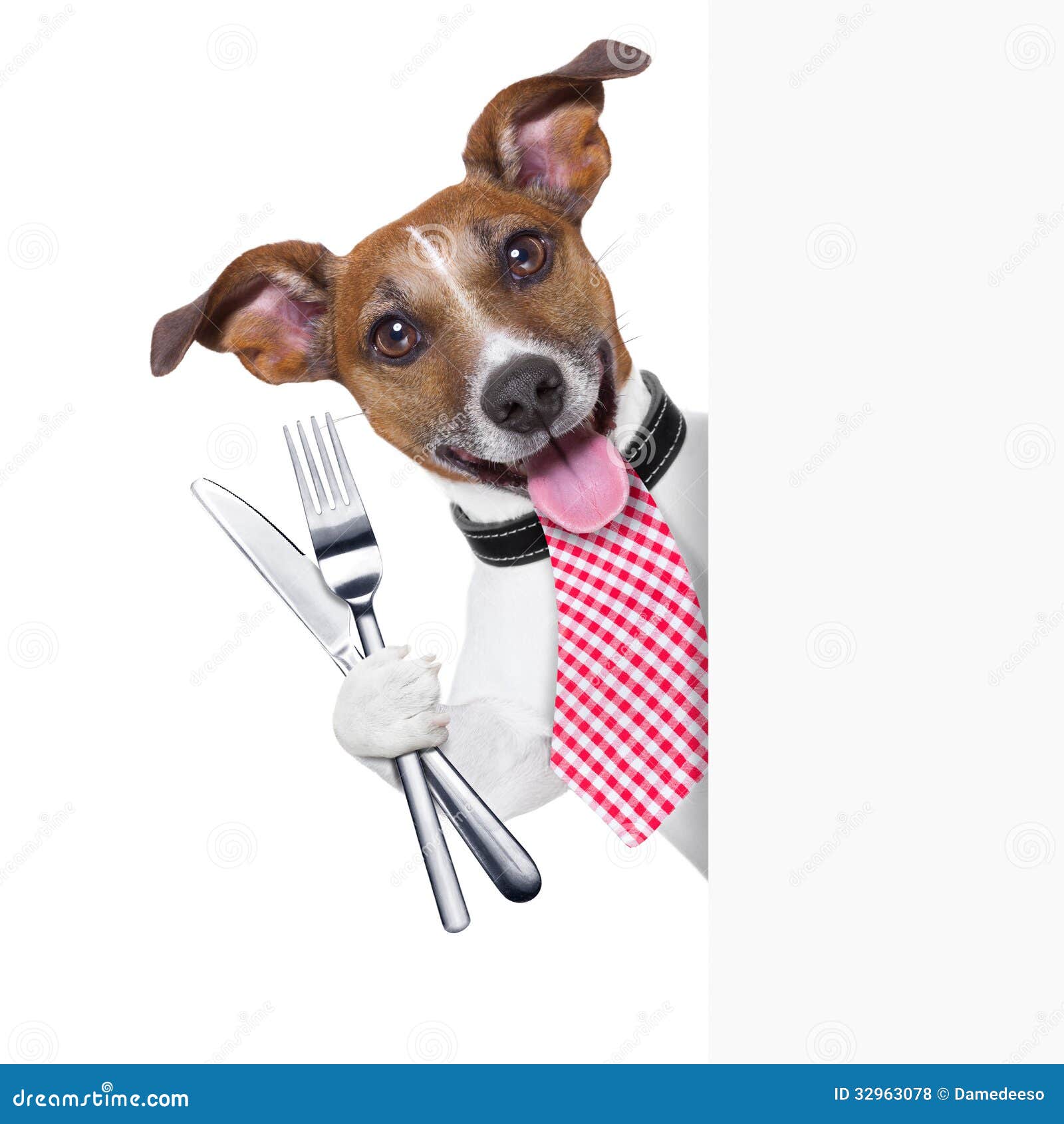 Perro hambriento foto de archivo. Imagen de bandera, papel - 32963078