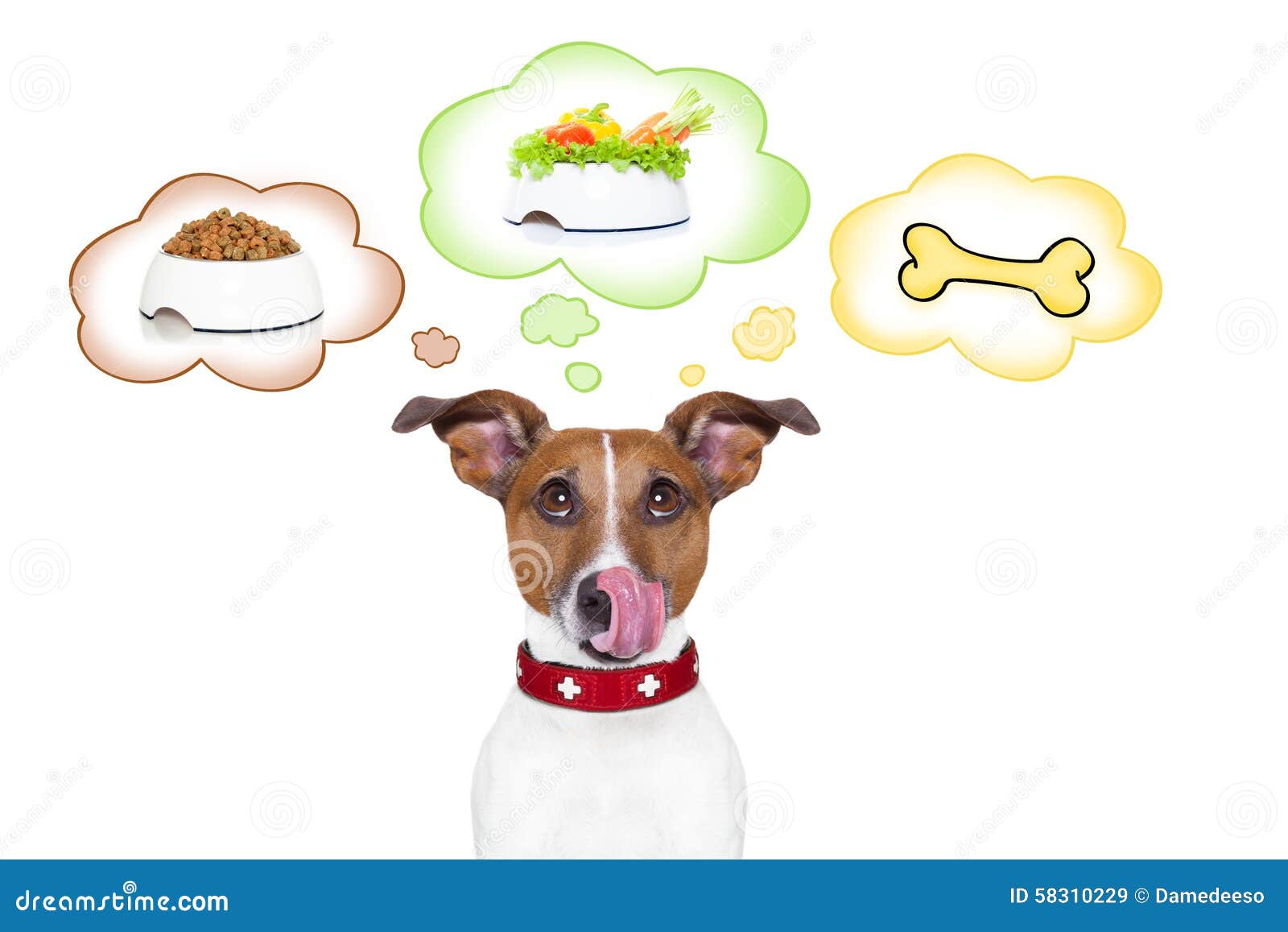 Perro hambriento imagen de archivo. Imagen de cena, aislado - 58310229