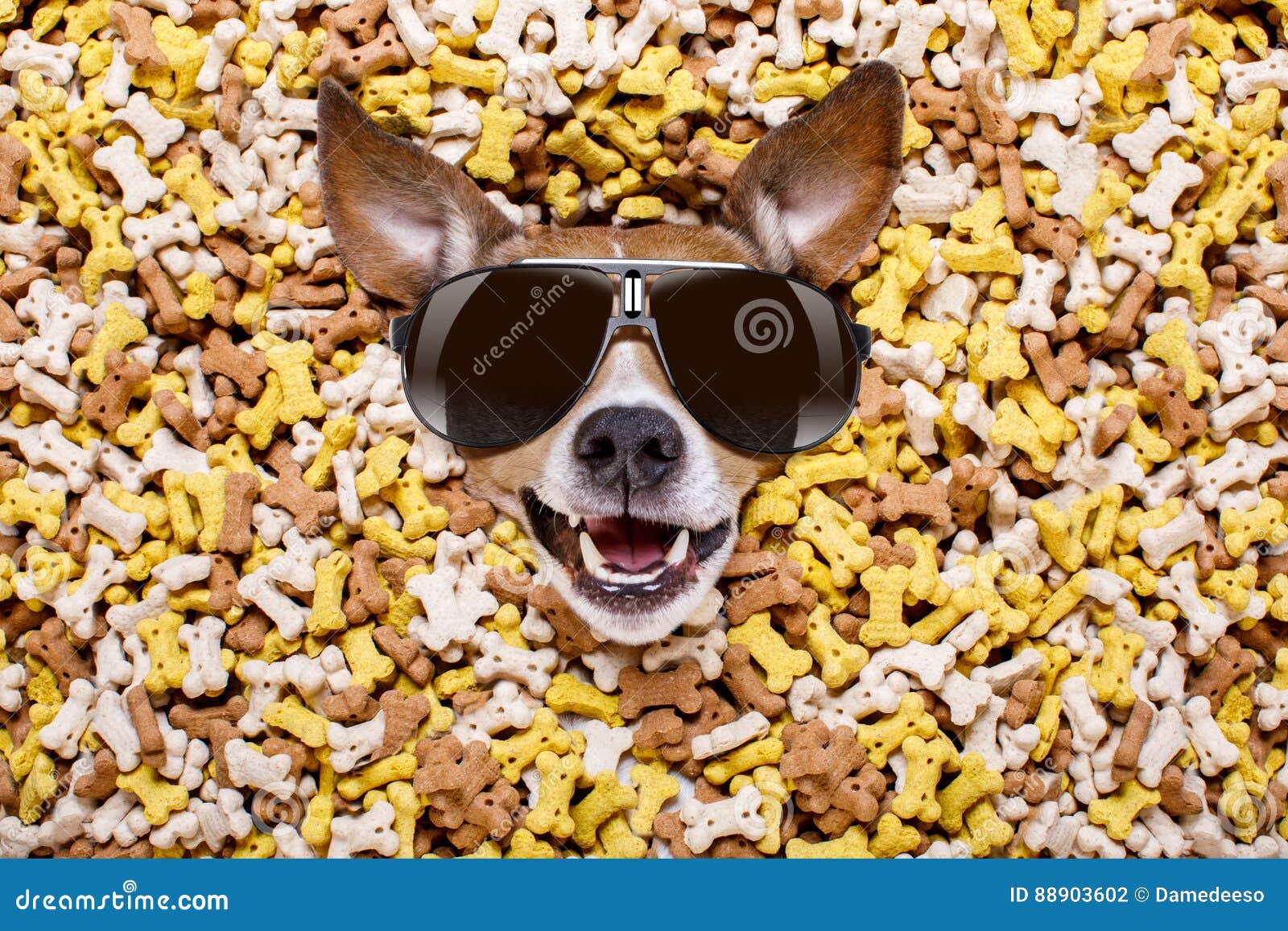 Perro Hambriento En Montón Grande De La Comida Foto de archivo - Imagen ...