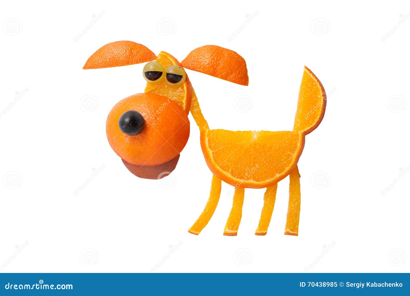 Perro hecho de naranjas imagen de archivo. Imagen de sano - 70438985