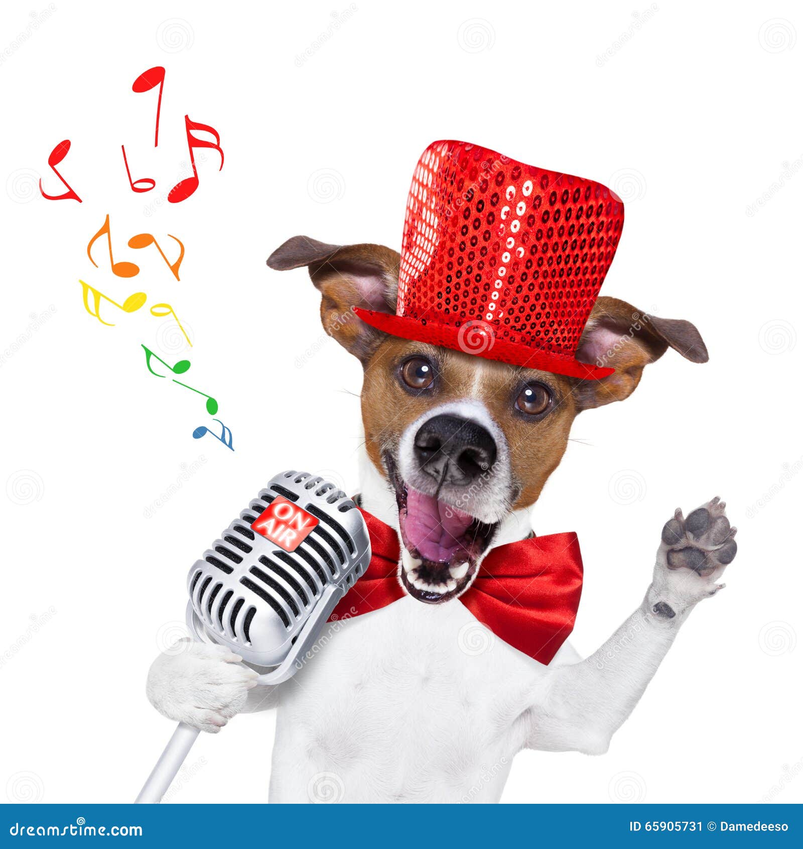 Perro Que Canta Con El Micrófono Imagen de archivo - Imagen de animal ...
