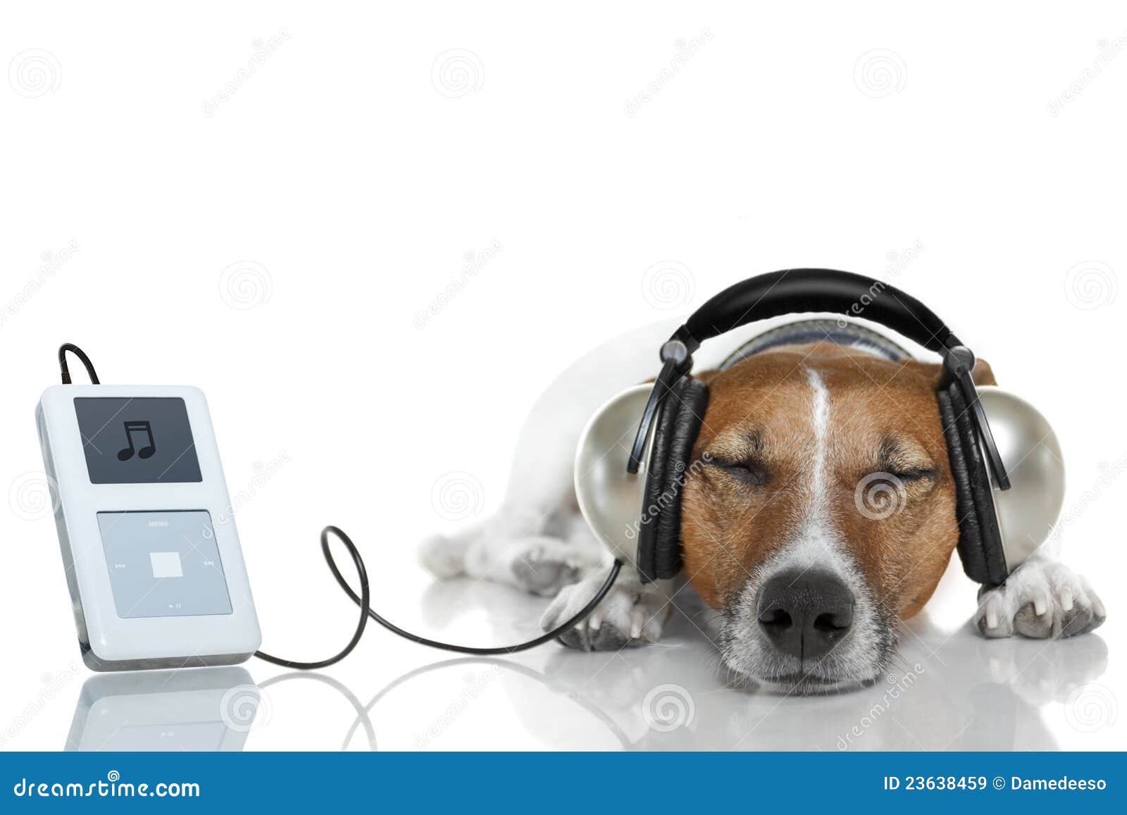 Perro Que Escucha La Música Imagen de archivo - Imagen de aislado ...