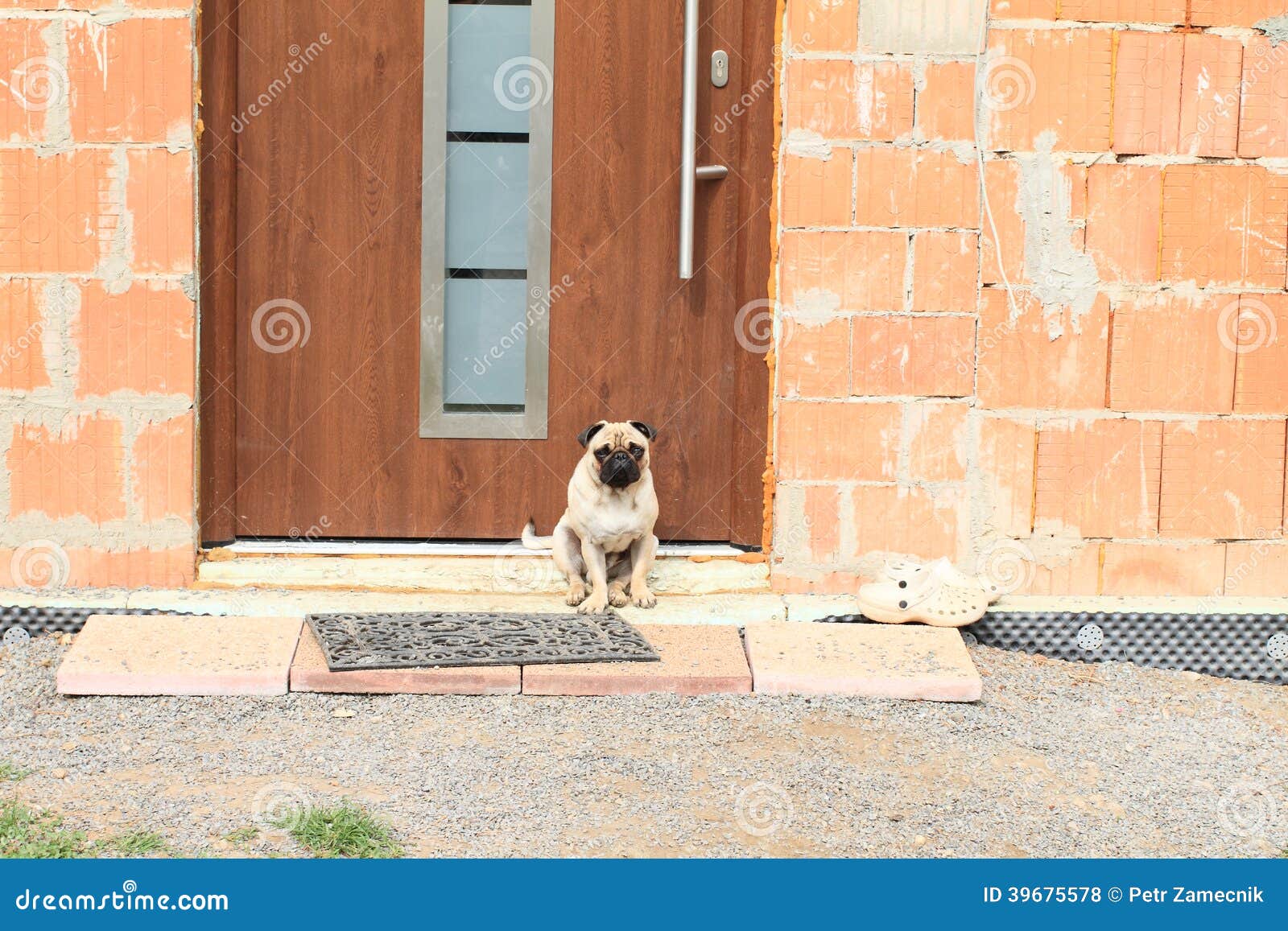 Perro que guarda la puerta foto de archivo. Imagen de standing - 39675578