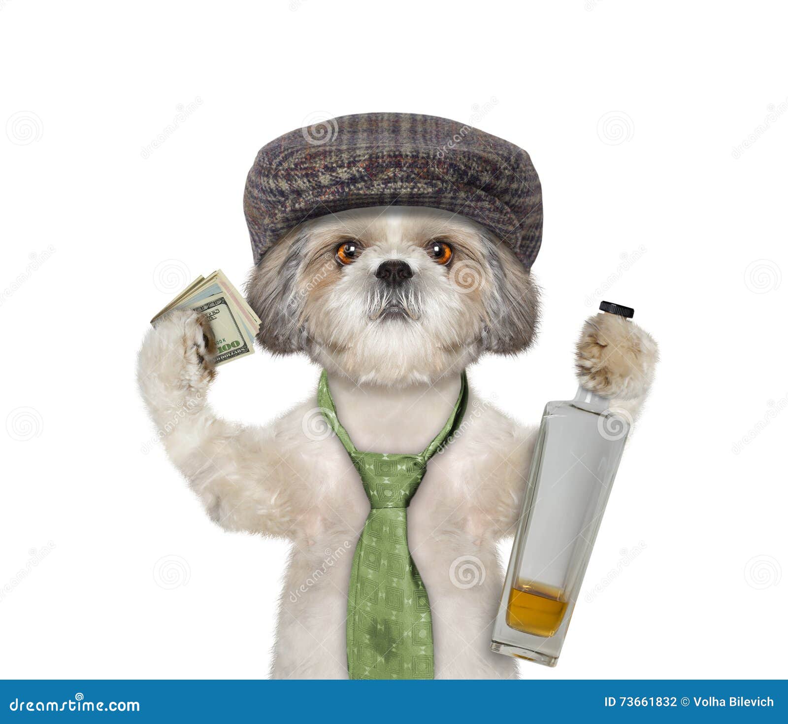 Perro Que Se Divierte Y Que Bebe El Alcohol Foto de archivo - Imagen de ...