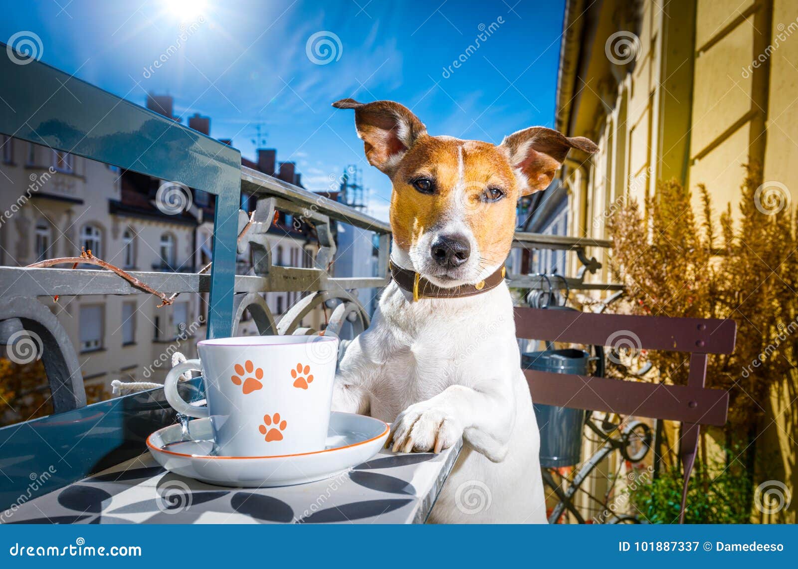 Perro Que Tiene Un Descanso Para Tomar Café Imagen de archivo - Imagen ...