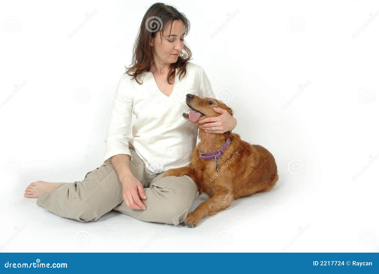 Perro tonto foto de archivo. Imagen de obedezca, siéntese - 2217724