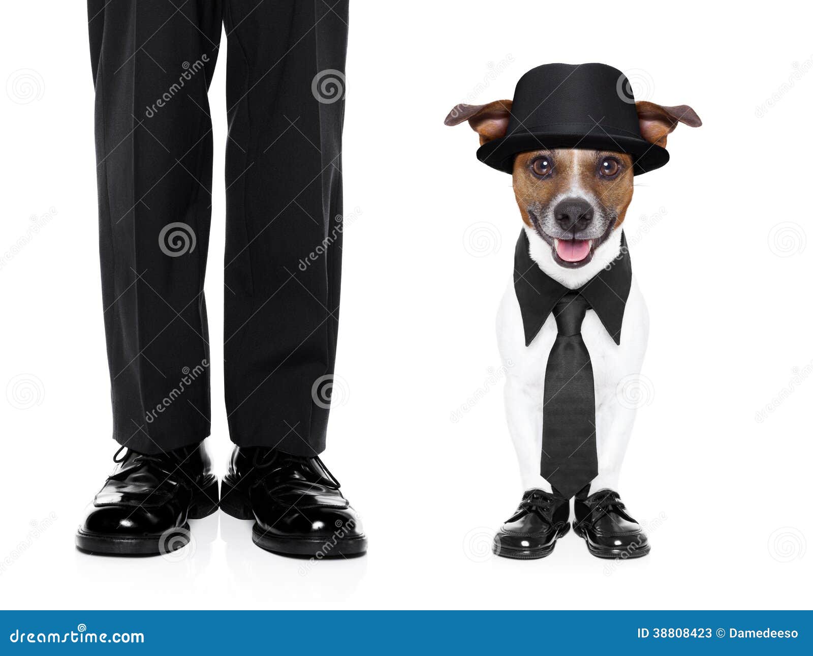 Perro y dueño del smoking imagen de archivo. Imagen de hermoso - 38808423